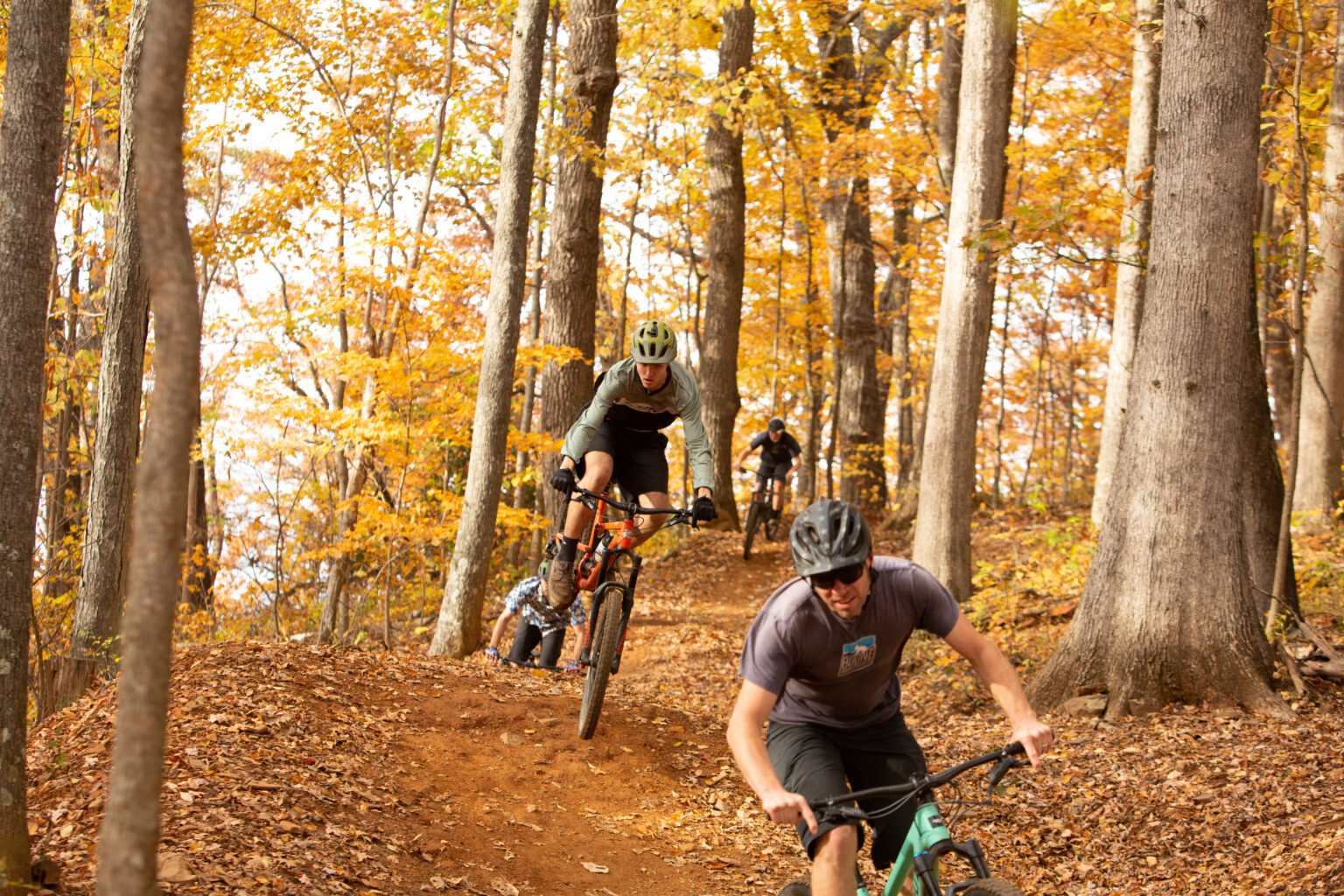Home - NC | YEAR OF THE TRAIL | 2023