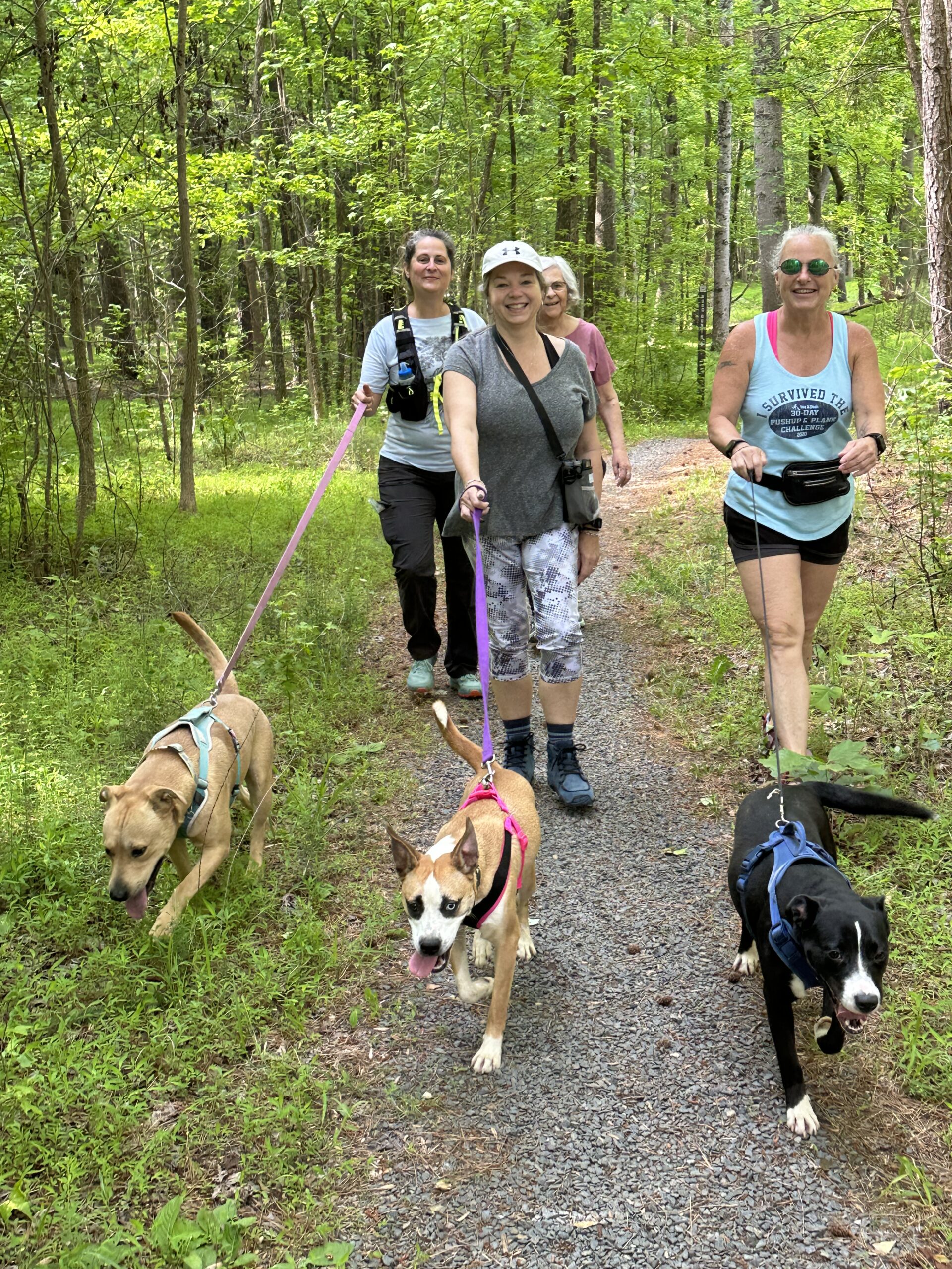 Tails and Trails: Montgomery County's Hiking Hope for Shelter Dogs - NC ...