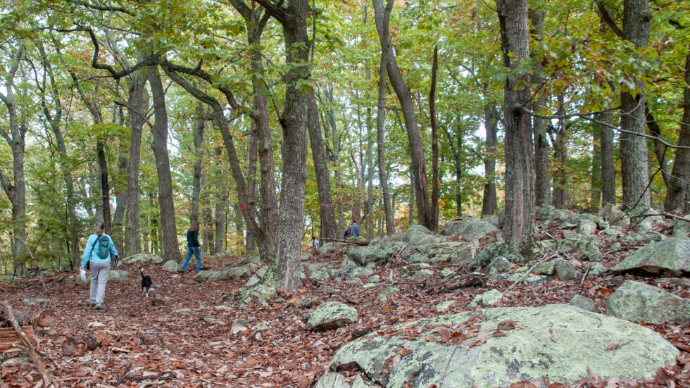 Guided Hike at Cane Creek Mountains Natural Area - NC Trails - Great ...