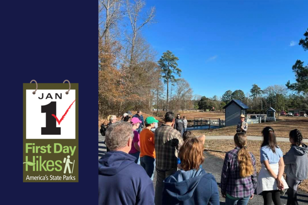 First Day Hike Scavenger Hunt at Dismal Swamp State Park - NC Trails ...